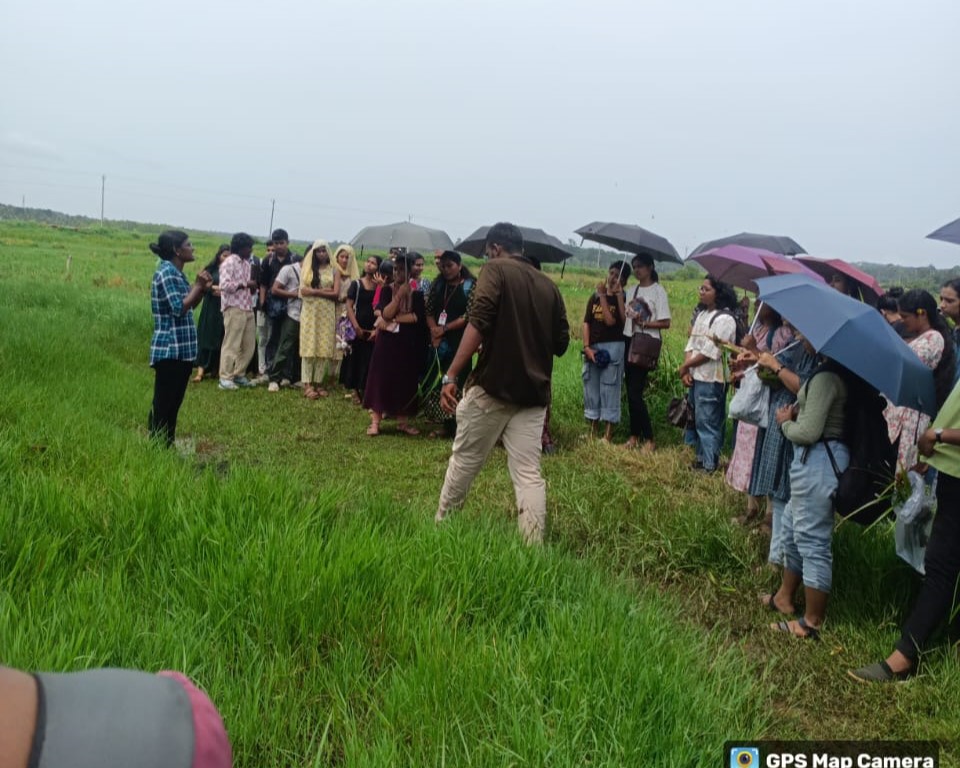 Botany Department Leads Educational Biodiversity Walk at Punchakkari Wetland